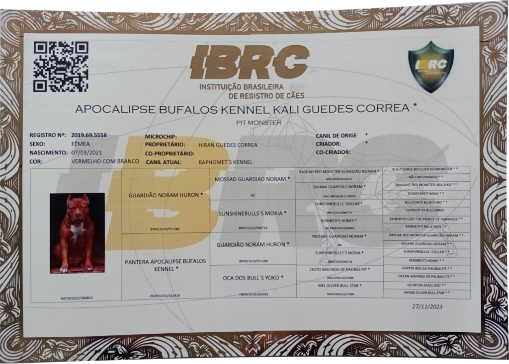 Pedigree Inicial - IBRC - Pedigree