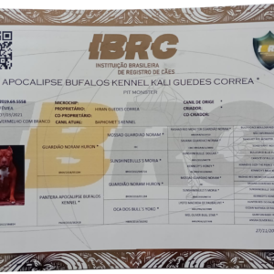 Loja - IBRC - Pedigree